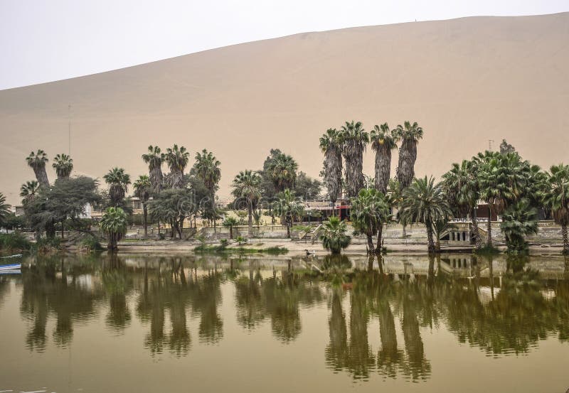 Huacachina Oasis in Ica Desert Stock Image - Image of nature, lake ...