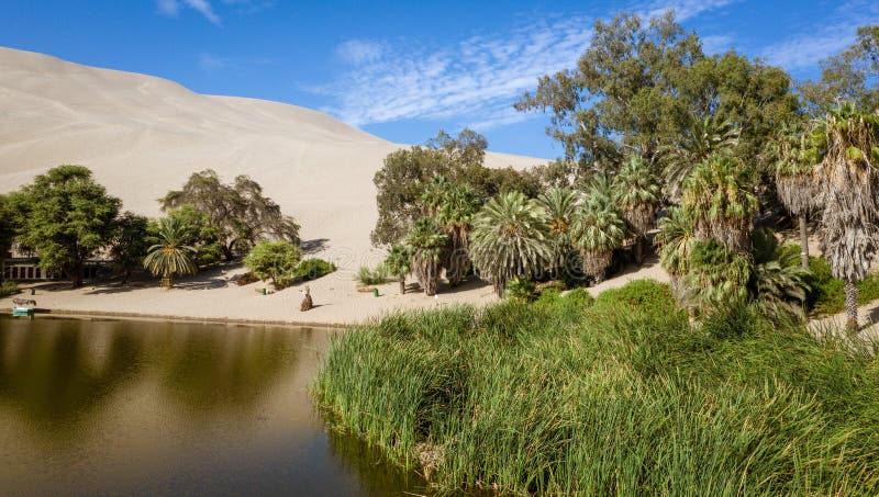 Huacachina Oasis in Ica, Peru Stock Image - Image of outdoor, landscape ...