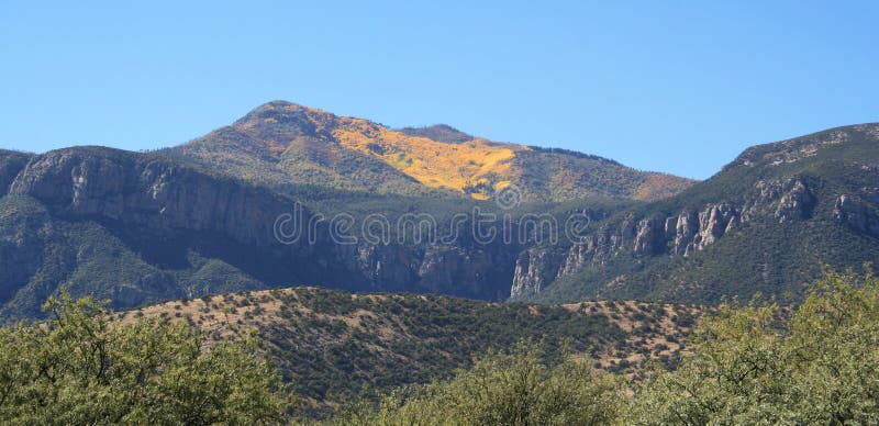 A Huachuca Mountain Autumn stock image. Image of autumn - 2720039