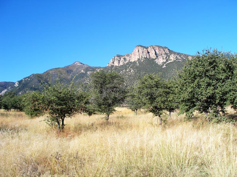 Sierra Vista, Arizona stock photo. Image of hiking, radar - 32992436