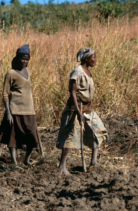 Huambo, Angola editorial image. Image of plowing, africa - 24419555