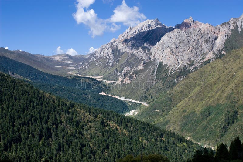 Long Mountain Trail with Bushes and Trees Around in Giant Mountains ...