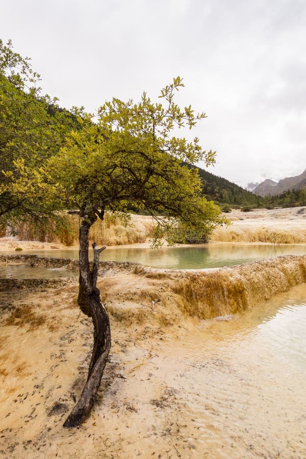 Huanglong Nationalpark China Stock Photo - Image of natural, mount ...