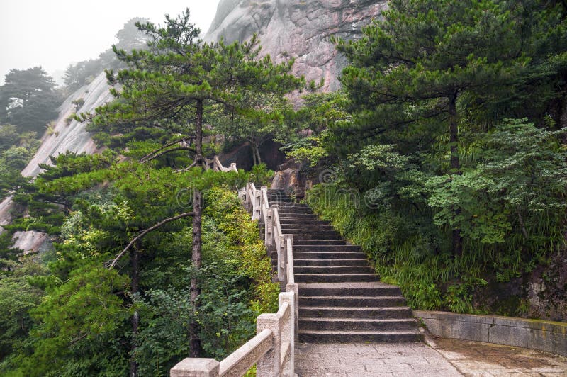 Huangshan Mountain Stairs Path into Forest Stock Image - Image of ...