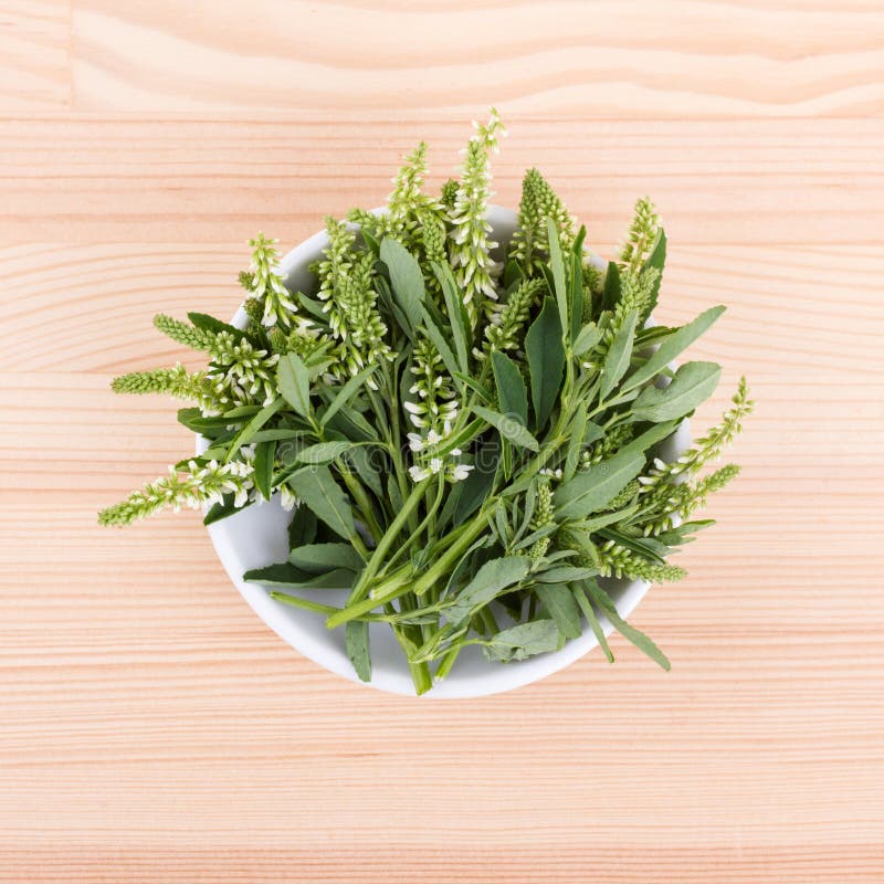 Sweet stock image. Image of brown, white, lollipop, blond - 24612957