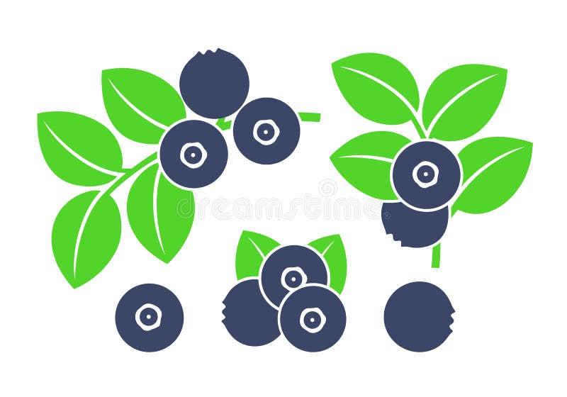 Huckleberry Stock Illustrations – 1,006 Huckleberry Stock Illustrations ...