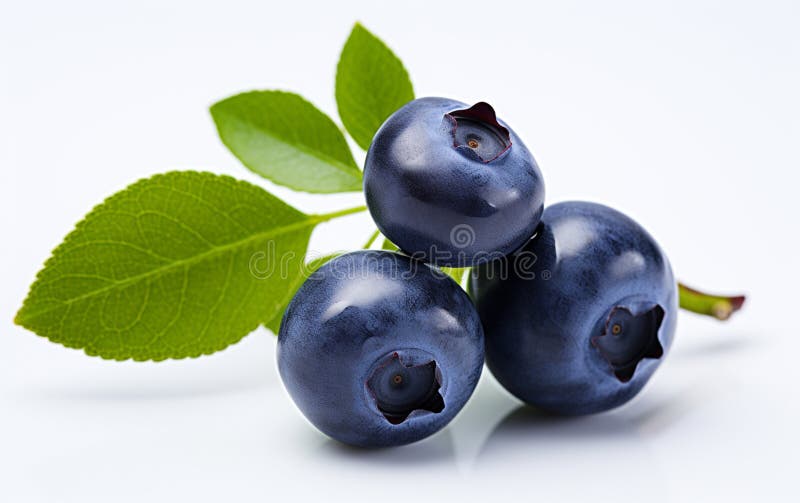 Huckleberry on Transparent Background Stock Illustration - Illustration ...