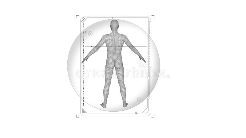 HUD Element - Animation of Human Body Scanning. Stock Video - Video of ...