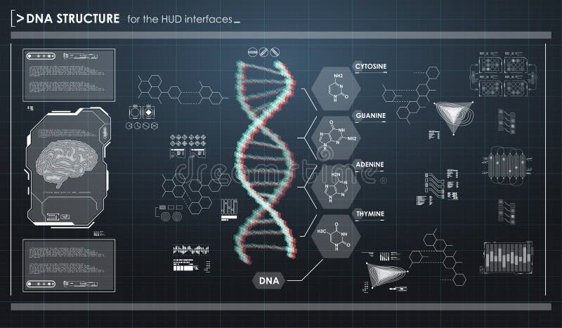 HUD Infographic Elements with DNA Structure. Futuristic User Interface ...