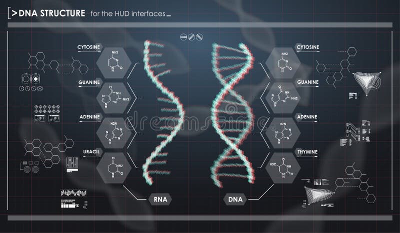 HUD Infographic Elements with DNA Structure. Futuristic User Interface ...