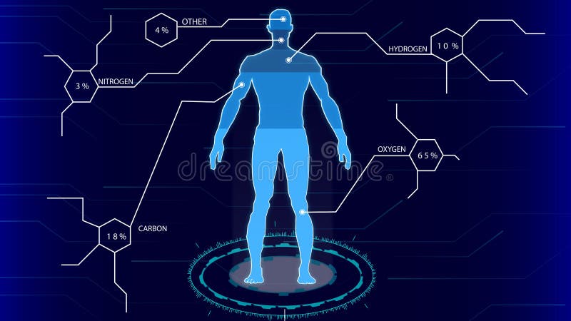 16:9 Hud Interface,futurastic Human Body,hud Biology Elelemt,Display ...