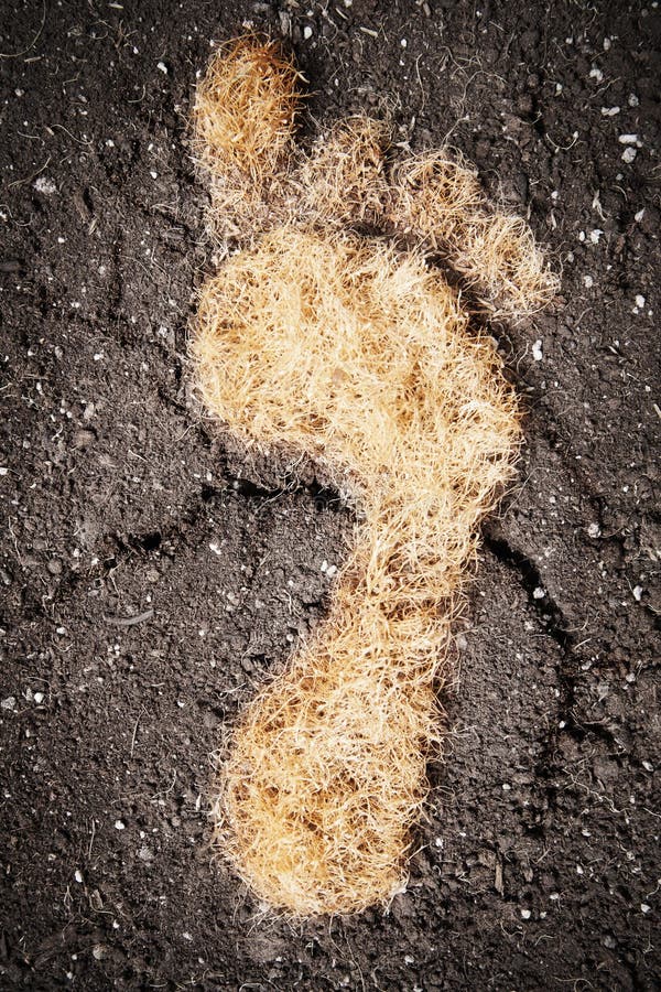 Huella foto de archivo. Imagen de verano, tierra, superficie - 24081426