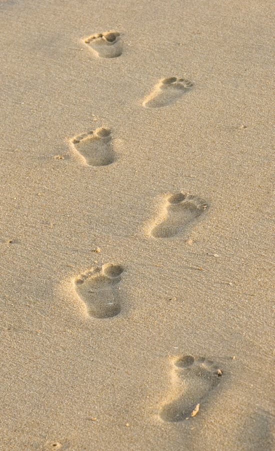 Huellas foto de archivo. Imagen de huella, onda, recorrido - 3740476