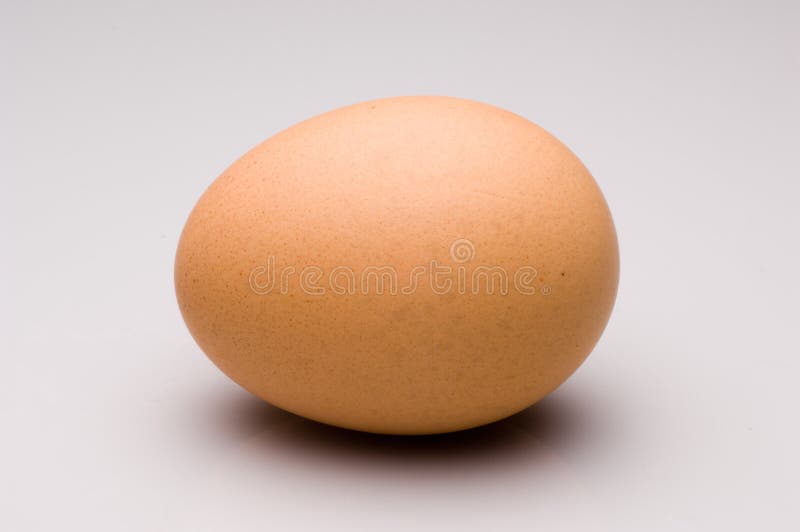 Huevo imagen de archivo. Imagen de granja, cierre, aislado - 1270829