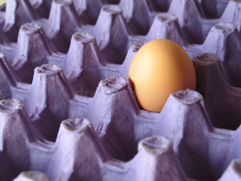 Huevo Imagen. Imagen: 6609563