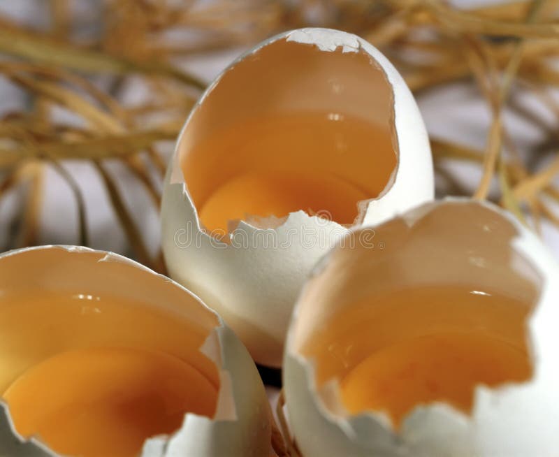 Huevo blanco imagen de archivo. Imagen de horizontal - 22101431