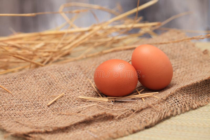 Huevo, huevos animales foto de archivo. Imagen de bolso - 60218170