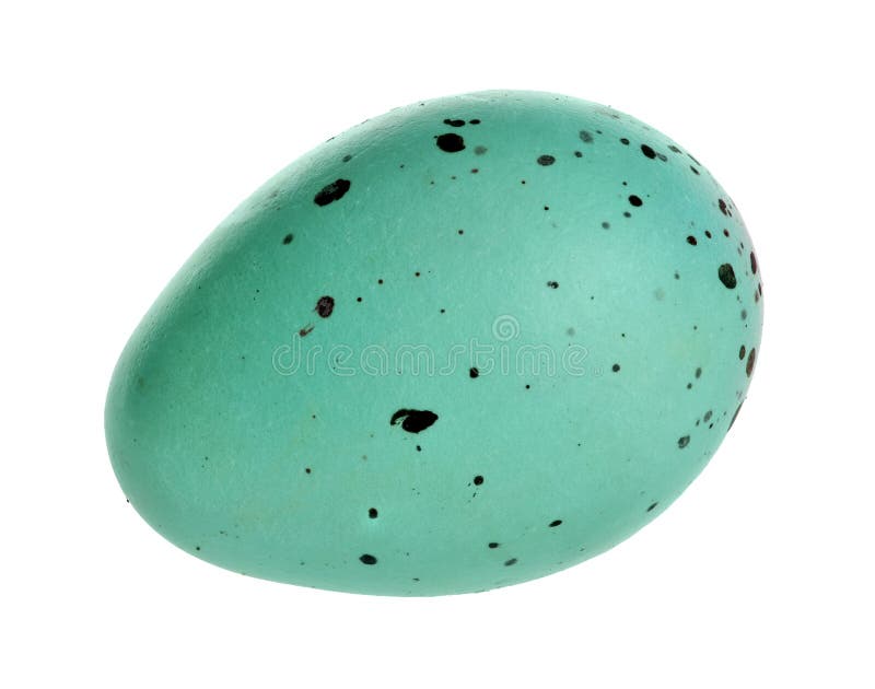 Huevo Manchado Solo Azul En Blanco Foto de archivo - Imagen de azul ...