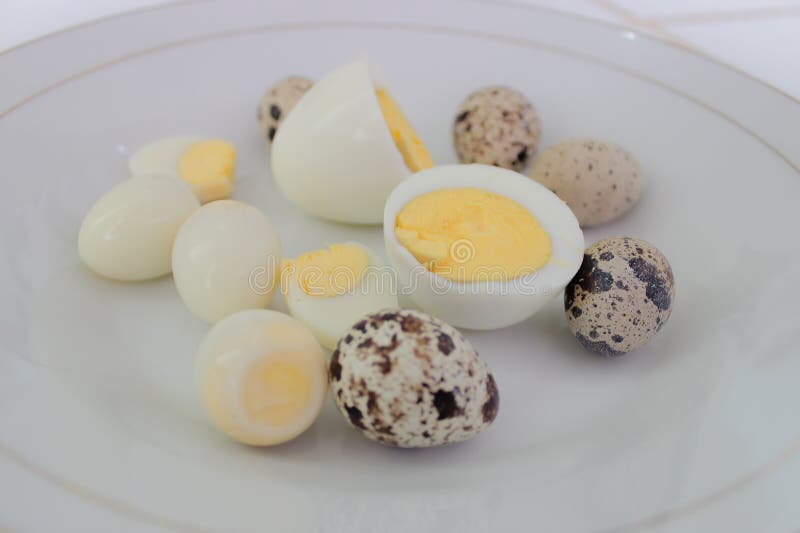 Huevos De Gallina Y Huevos De Codorniz Foto de archivo - Imagen de ...
