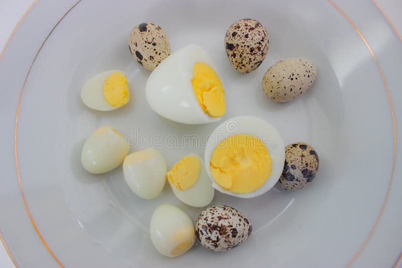 Huevos De Gallina Y Huevos De Codorniz Foto de archivo - Imagen de ...