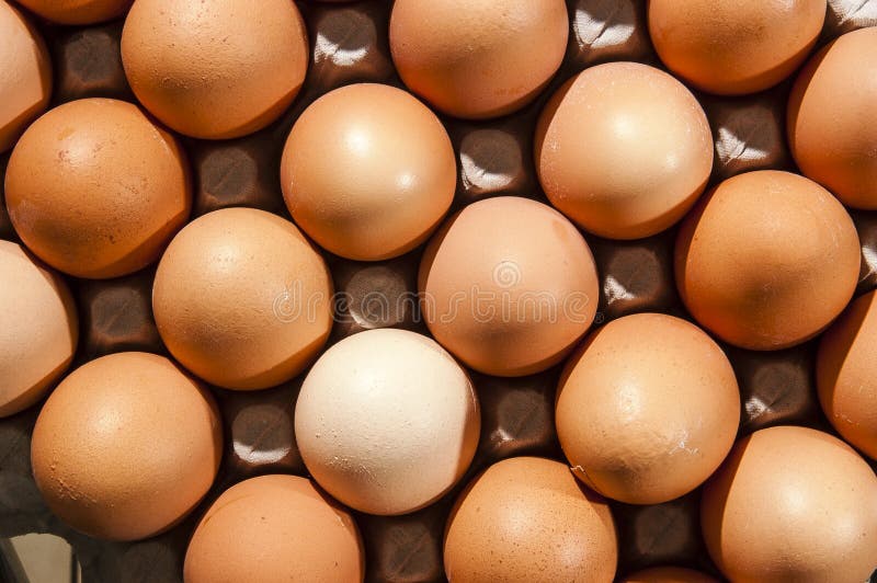 Huevos del color foto de archivo. Imagen de pollo, ingredientes - 32186164