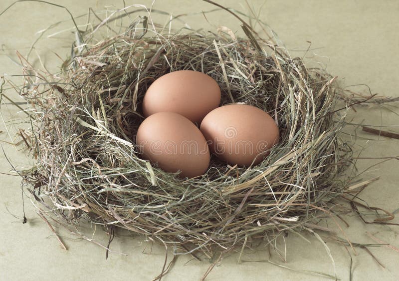 Huevos en nido foto de archivo. Imagen de huevos, corte - 194417982
