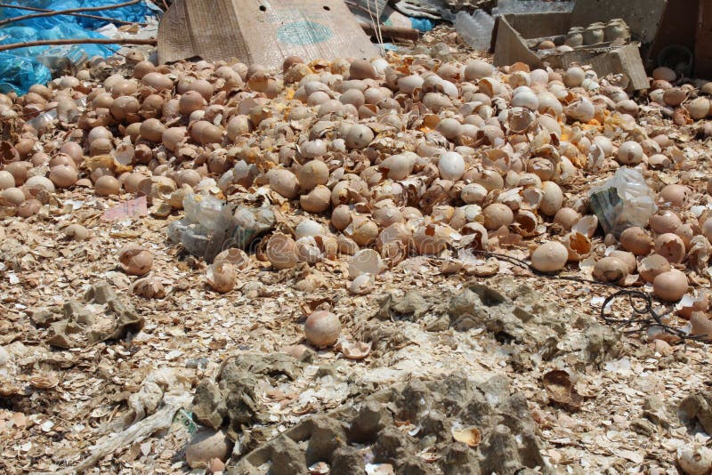 1,465 Podridos Fotos de stock - Fotos libres de regalías de Dreamstime