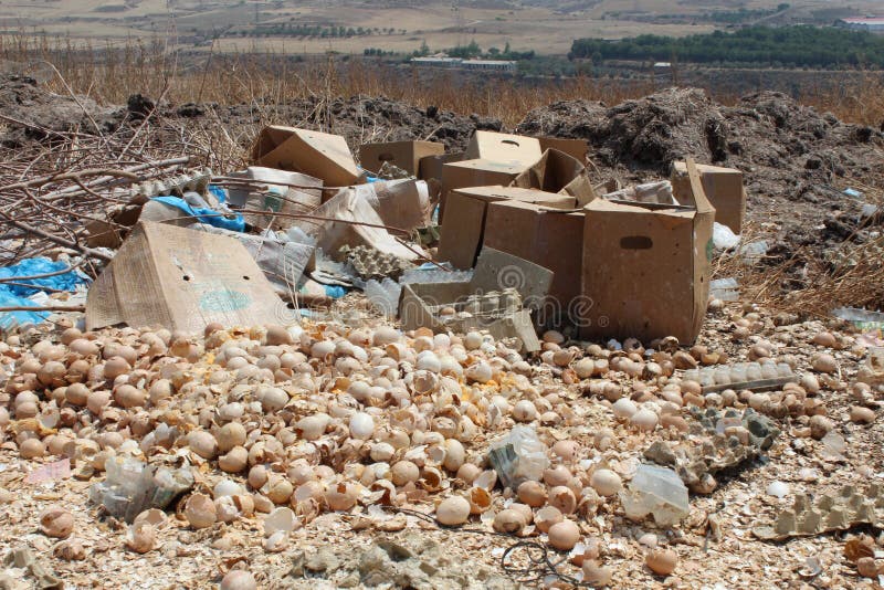 1,465 Podridos Fotos de stock - Fotos libres de regalías de Dreamstime