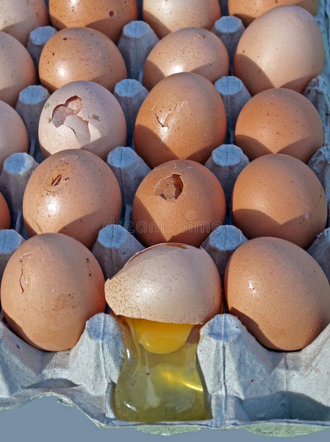 Huevos quebrados foto de archivo. Imagen de gallina, roto - 15921774