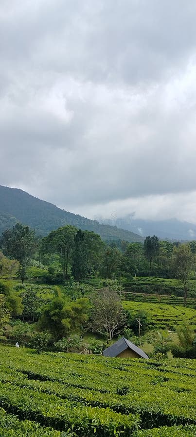 Huft,, when Our Minds Start To Mess Up, it& X27;s Time To Go on ...