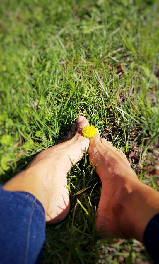 Feet in spring flowers stock image. Image of feet, soft - 2573977