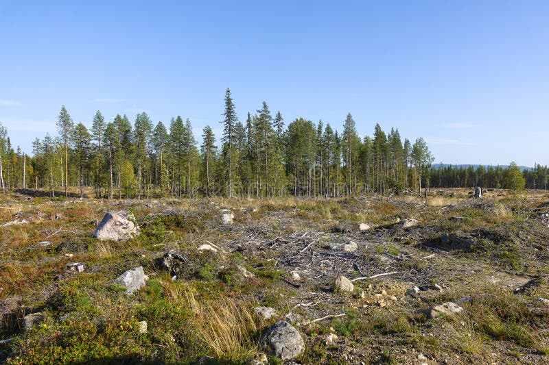 Huge Areas of Deforestation in Sweden Stock Image - Image of trail ...