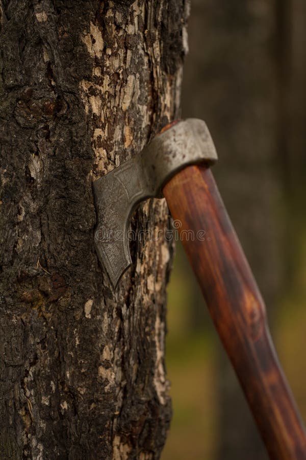 Huge Ax with a Handle Near a Tree Stock Image - Image of blade ...