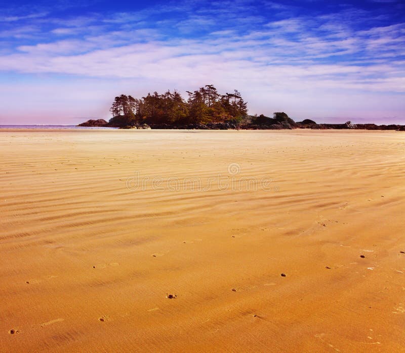 Huge Beach on Island Vancouver on a Midday Stock Image - Image of ...