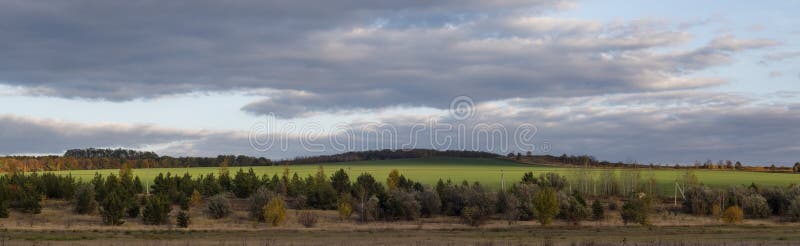 A Huge Beautiful Field of Winter Rye Extending Beyond the Horizon Under ...