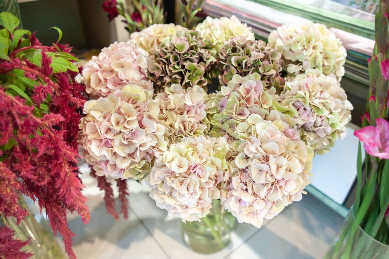 Huge Bouquet of Hydrangeas in a Flower Shop, Stock Photo - Image of ...