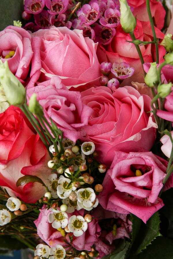 Huge bouquet of roses stock photo. Image of colours, colors - 85026788