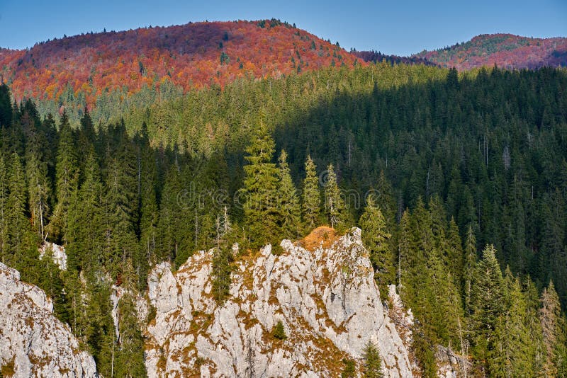 Huge Cliff on the Mountains Stock Image - Image of drop, precipice ...