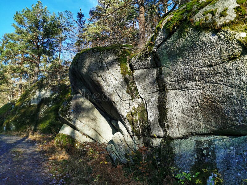 Huge Cliffs in a Forest Captured in a Forest in Norway Stock Image ...