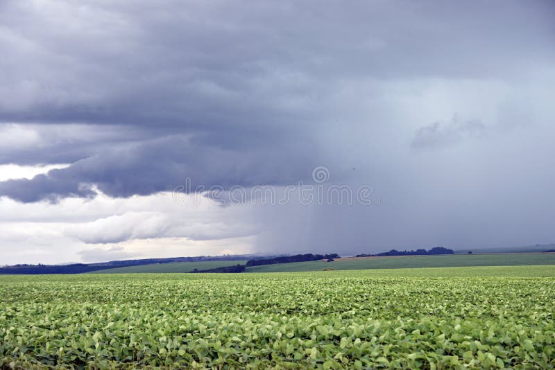 Huge Dark Rain Clouds on a Nature Field Scene Stock Photo - Image of ...