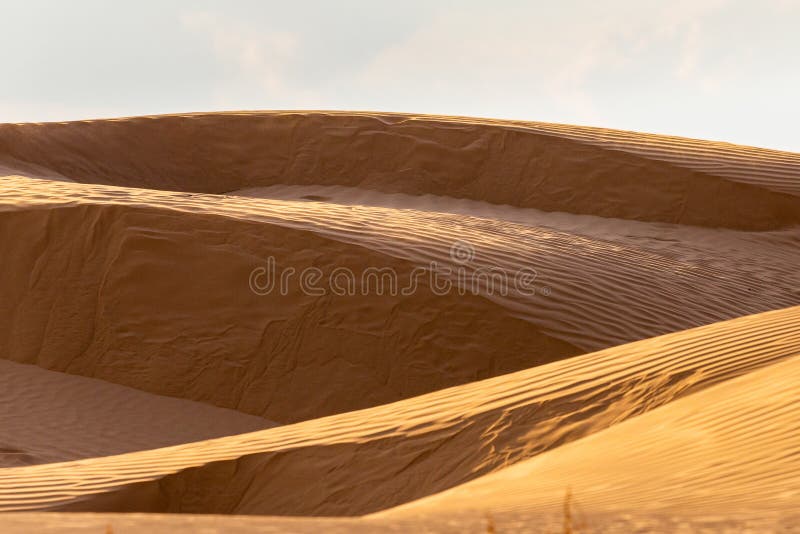Huge Dunes of the Desert. Beautiful Structures of Sandy Barkhan or Sand ...
