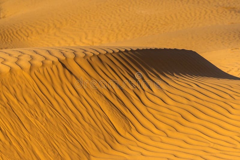 Huge Dunes of the Desert. Beautiful Structures of Sandy Barkhan or Sand ...