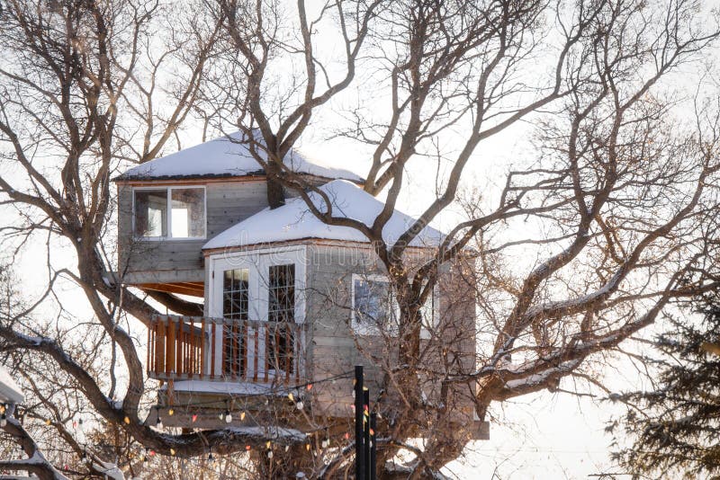 A Huge Fancy Treehouse in a Bare Tree Stock Photo - Image of elaborate ...
