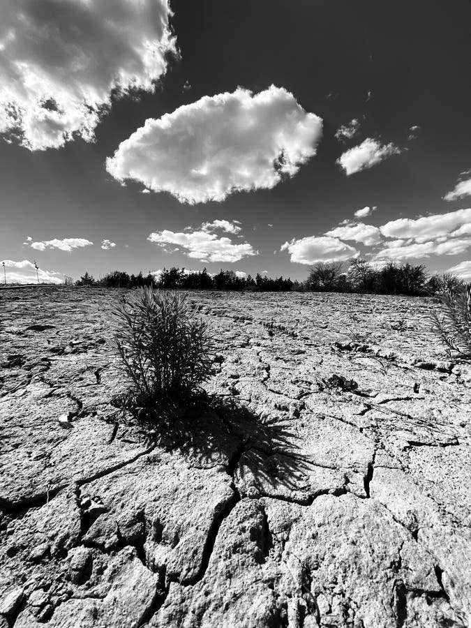 Huge Field Turns into a Desert during Dry Weather Stock Image - Image ...