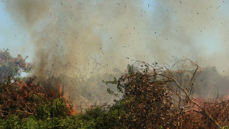 The Huge Fire that Burned Everything in Its Path Blazed so Big and ...