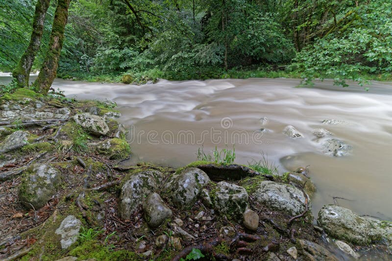 Huge Flow on a River after the Night Storm Stock Photo - Image of river ...