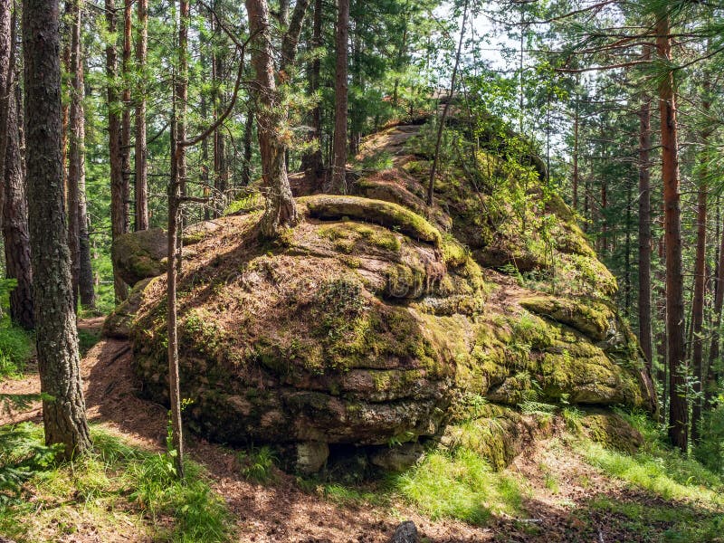 Huge Forest Stone Overgrown with Trees, Grass and Moss Stock Image ...