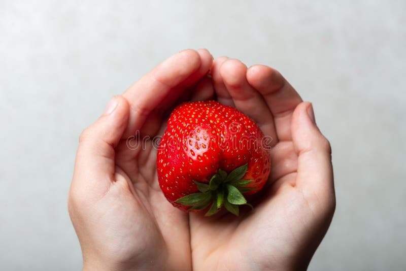 Huge Fresh Strawberry in the Hands Stock Image - Image of healthy ...