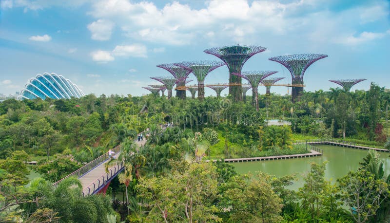 Huge Futuristic Trees in an Exotic Garden Stock Image - Image of hotels ...