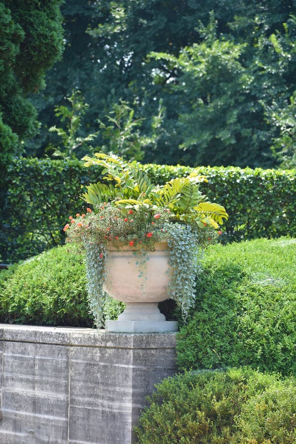 Ledge forest and the sea stock photo. Image of travel - 27733678